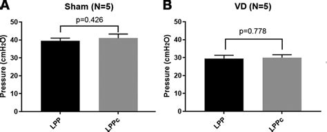 Comparison Between Leak Point Pressure Without The Urethral Catheter Download Scientific