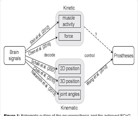 Figure 1 From Decoding Of Kinetic And Kinematic Information From Electrocorticograms In