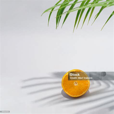 녹색 야자 가지 아래 주황색 조각 해변 여름날을 모방 한 야자수 그림자 미적 추상적 인 디자인 아이디어 화창한 날 개념 0명에 대한 스톡 사진 및 기타 이미지 Istock