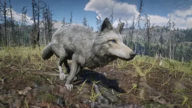 Online Coyotes Unlocked For SP At Red Dead Redemption Nexus Mods And Community