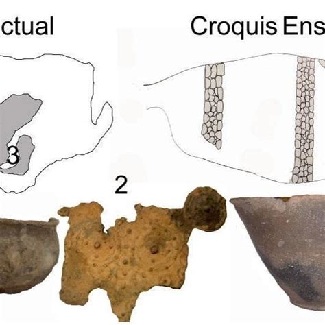 Structure Of Insect Integument Download Scientific Diagram