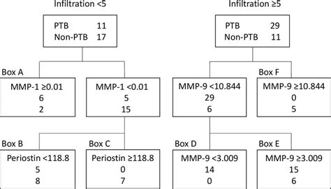 algorithm for discrimination between ptb and non ptb patients using the