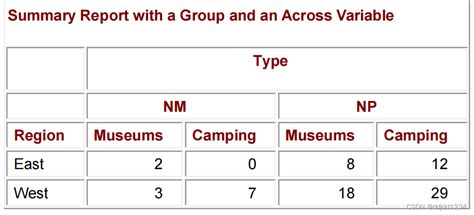 2024 05 13 初级sas学习笔记3proc Report Csdn博客