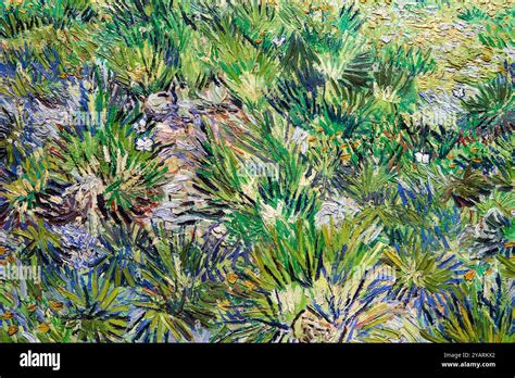 Detail Long Grass With Butterflies 1890 Vincent Van Gogh 1853 1890