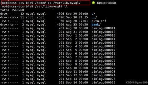 【mysql】服务器管理与配置mysql服务器 Csdn博客
