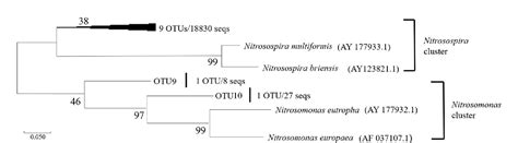 Figure 1 From Ammonia Oxidizing Archaea And Ammonia Oxidizing Bacteria Communities Respond