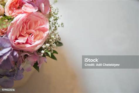 보라색 배경 흰색 배경에 분홍색 모란 텍스트 핑크 꽃다발 공란에 대한 스톡 사진 및 기타 이미지 공란 공휴일 기념일