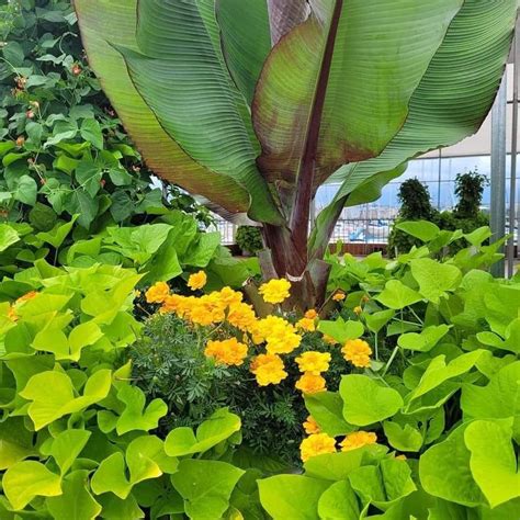 រាជបុត្រ សូរ្យកាយ្យ Added A New Photo រាជបុត្រ សូរ្យកាយ្យ