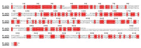 Sequence Alignment Used For Modeling The Sequence Alignment Used For Download Scientific