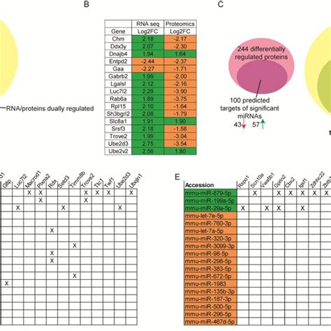 Integration Of Rna Seq Smrna Seq And Proteomics Datasets A Venn Download Scientific Diagram