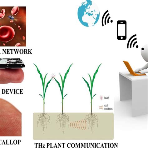 Terahertz Communication Applications For Nanoscale Networks Download Scientific Diagram