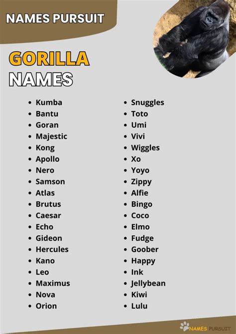 Gorilla Names 500 Ideas For Baby Male Female