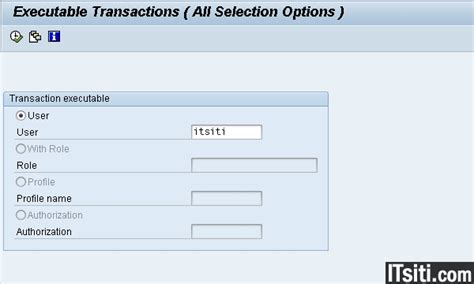 List All SAP Transactions Executable For User