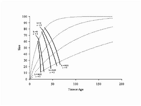 Fig A1 Age Size Reaction Norms For Flowering Assuming Von Bertalanffy Download Scientific