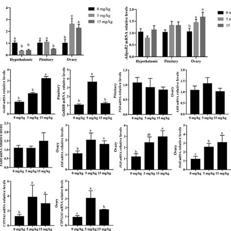 Expression Of Adiponectin Receptor And Reproduction Related Genes In