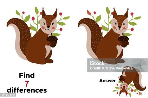 유치원 아이 들을 위한 교육 게임 일곱 가지 차이점을 찾을 대답 귀여운 만화 다람쥐와 도토리 견과에 대한 스톡 벡터 아트 및 기타 이미지 Istock