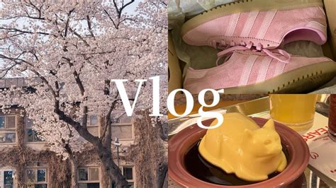 Vlog 직장인 브이로그 벚꽃 닮은 신발 쇼핑🌸 고양이푸딩 친구결혼식 축무 공개 Youtube