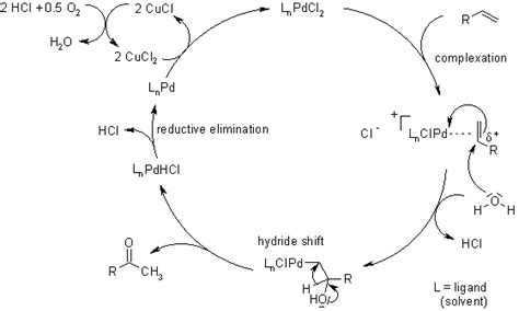 Oxidation Reaction Mechanism