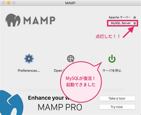 MAMPのMySQLが起動しないときにやること しげたカオリ 児童向け女性向け かわいい 特化イラストレーター