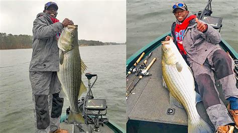 Arkansas Angler Reels In Massive Striped Bass Coastal Angler And The