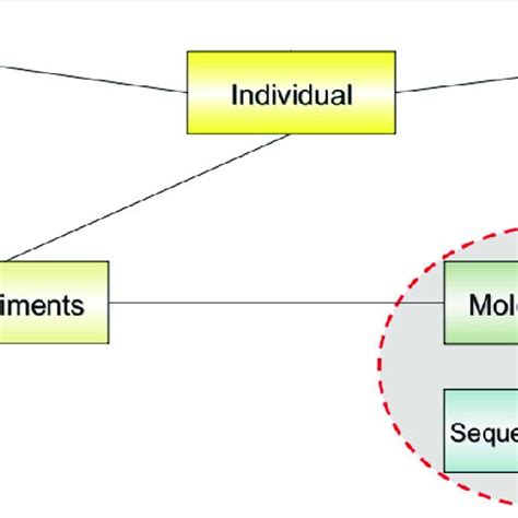 High Level View Of The Database Schema The Relational Schema Is Download Scientific Diagram