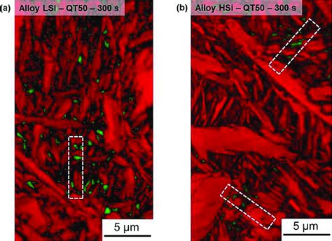 Combined Image Quality IQ And Phase P Maps Obtained From EBSD Maps Download Scientific