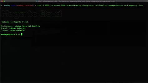 Configure Xdebug Adobe Commerce
