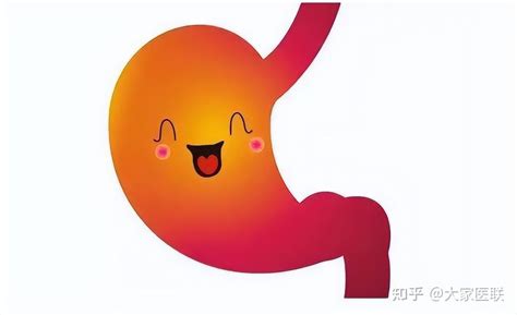 胃病不能喝豆浆提醒想养胃牢记以下6种食物胃痛或会缓解 知乎