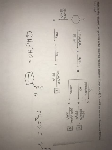 Solved Identify The Lettered Compounds In The Following Chegg