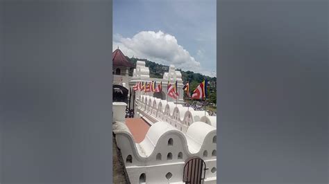 දළදා වහන්සේ වදින්න නුවර යමු 🙏🙏 Youtube