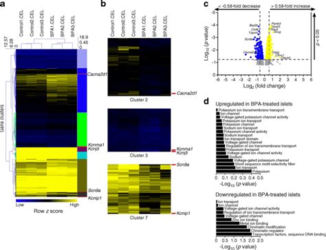 Microarray Analysis Of Islets From Mice Treated With Vehicle Control Download Scientific