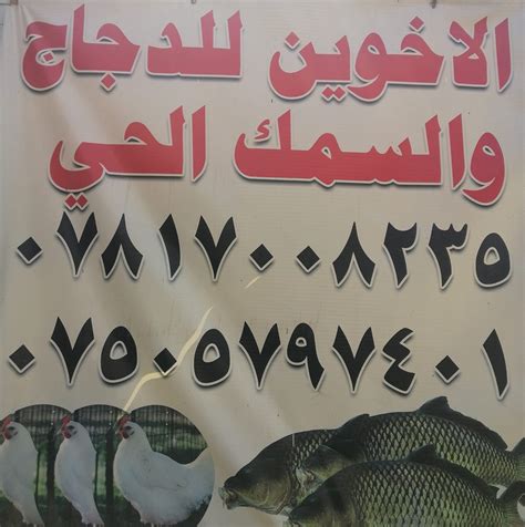 دجاج واسماك الاخوين