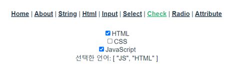 Vue V Model Select Checkbox Radio