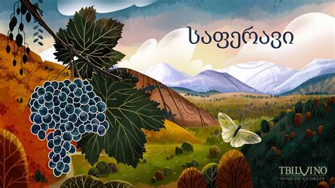 ვაზი საქართველოდან საფერავი Youtube