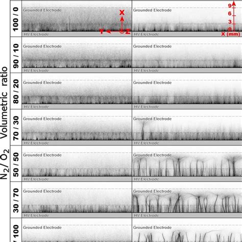 Plasma Morphology For Both Half Cycles As A Function Of The N O Download Scientific Diagram