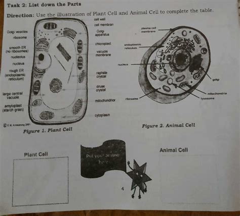 Task 2 List Down The Parts Direction Use The StudyX