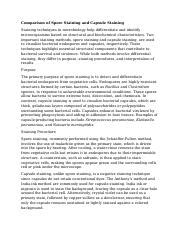 Understanding Spore And Capsule Staining In Microbiology Course Hero