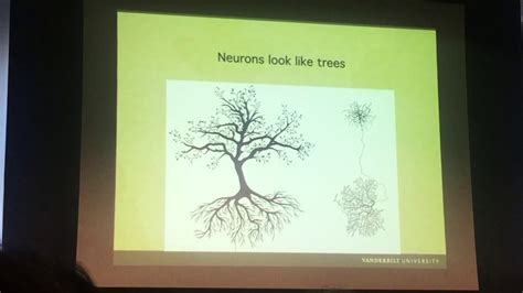 Sex Drugs And Potato Chips Christine Konradi Youtube