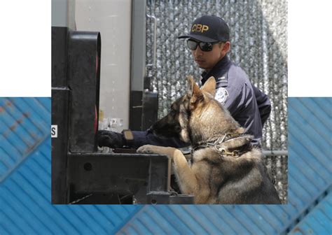 Office Of Field Operations Application Process U S Customs And Border Protection