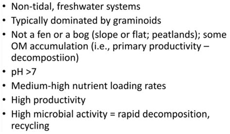 Freshwater Wetlands Flashcards Quizlet