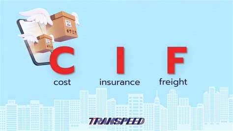 ราคา Cif และ ราคา Fob คืออะไร ต่างกันอย่างไร Transpeed
