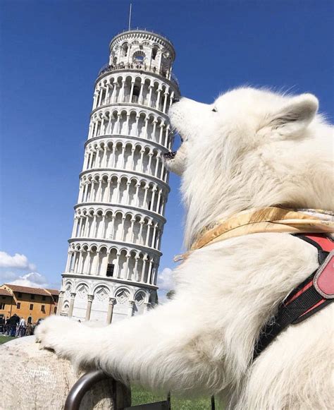 That S A Mood Gabriella On Twitter Rt Pictures