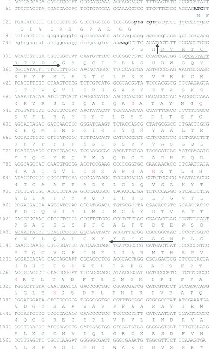 Nucleotide Sequence And Deduced Amino Acid Sequence Of Phya From P