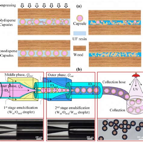 pdf microfluidic assisted fabrication of monodisperse core shell