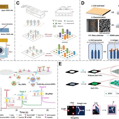 Multiplexed Detection Of Proteins Using Nanomaterial Assisted