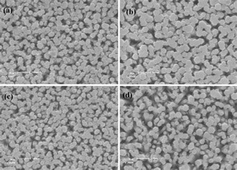 Sem Of Zno Nanorods Arrays With Dierent Thickness Of Seed Layer On Download Scientific Diagram