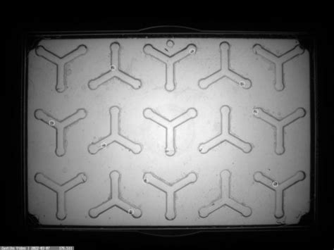 Y Maze The Effects Of Chronic Morphine Administration On Spatial