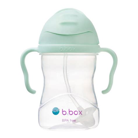 Bbox Weighted Straw Sippy Cup 240ml — Toycra