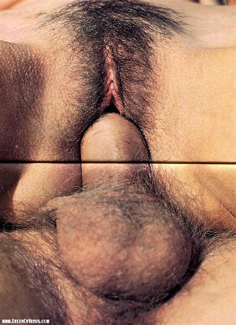 Vintage Sex 02 9143 Porno Photo