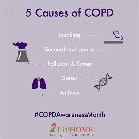 The 4 Copd Gold Stages Explained Artofit